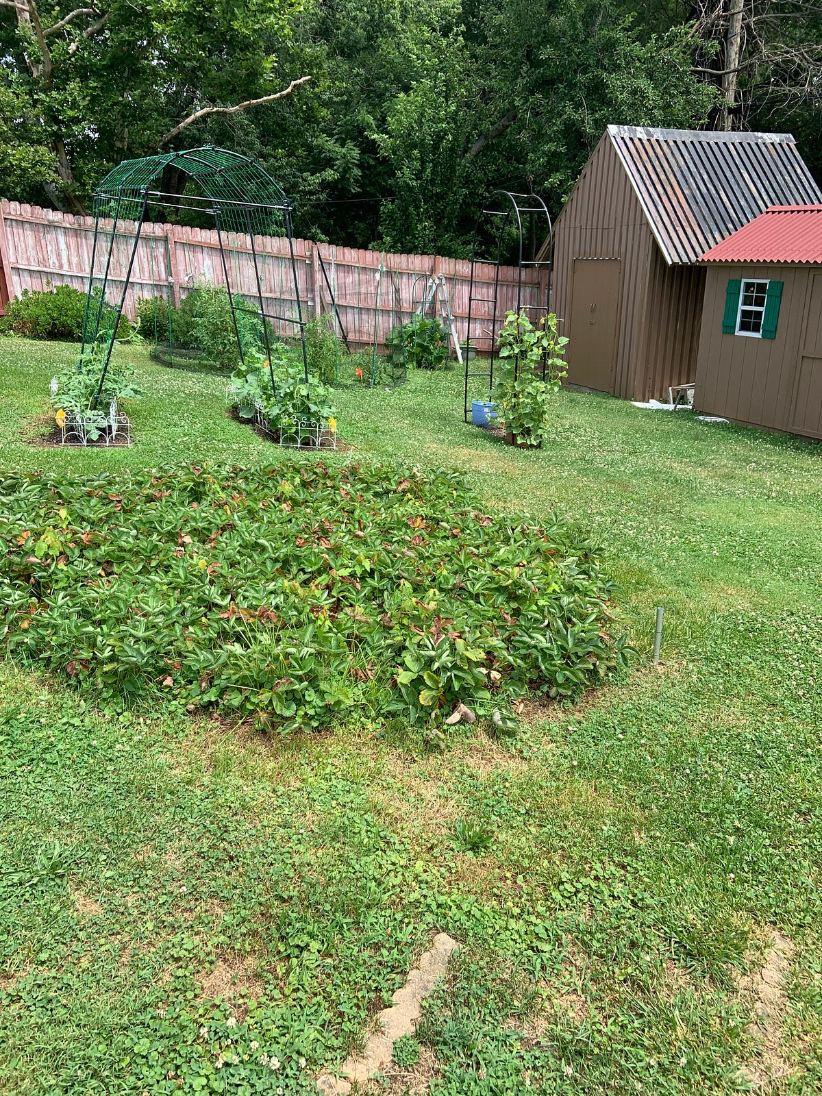 Announcing- “ Simple Gardening- Welcome Article | by Susan Payton ...