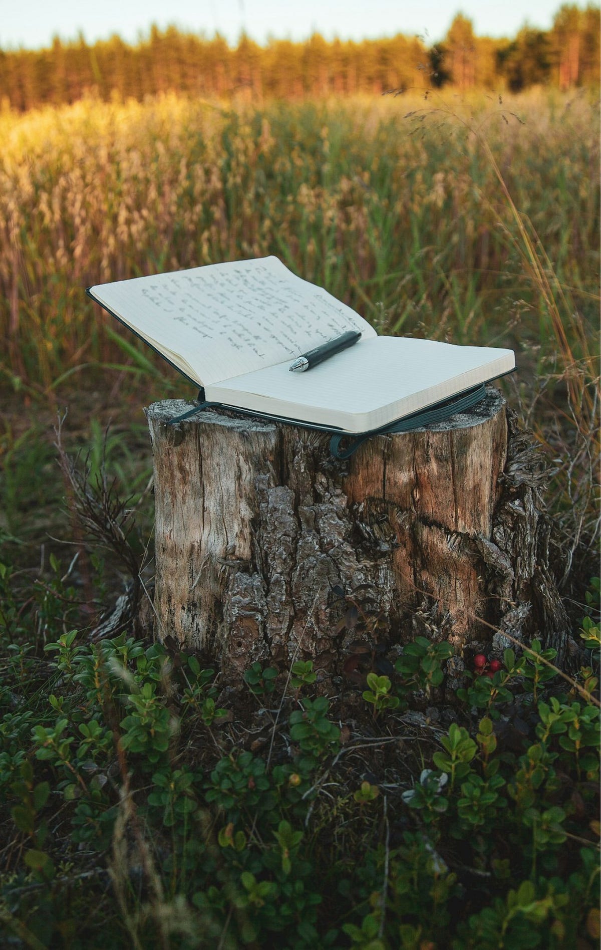 What Happens When You Rewrite Your Diary Entries as Fictional Stories ...