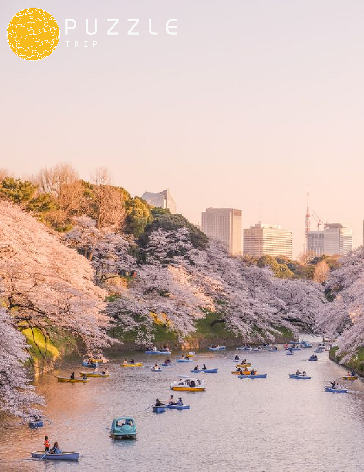 Festival and Events Around the World — Where to Go and What to See | by ...