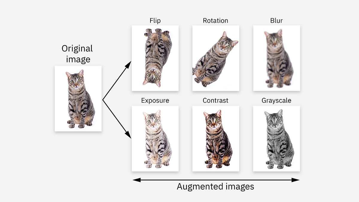 A Beginner’s Guide to Automated Data Augmentation [ALU] | by Jay | Medium