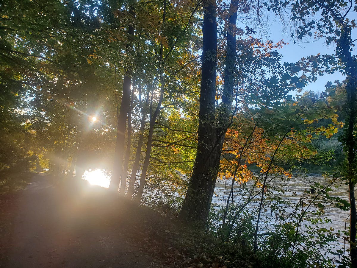 10 Essential Autumn Activities to Embrace the Beauty of Fall | by ...