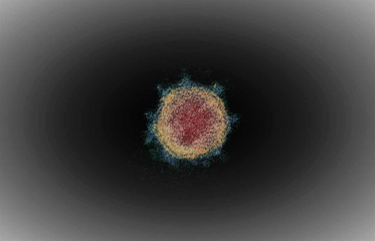 Creating Coronavirus. Are mutated viruses a challenge for… | by David ...