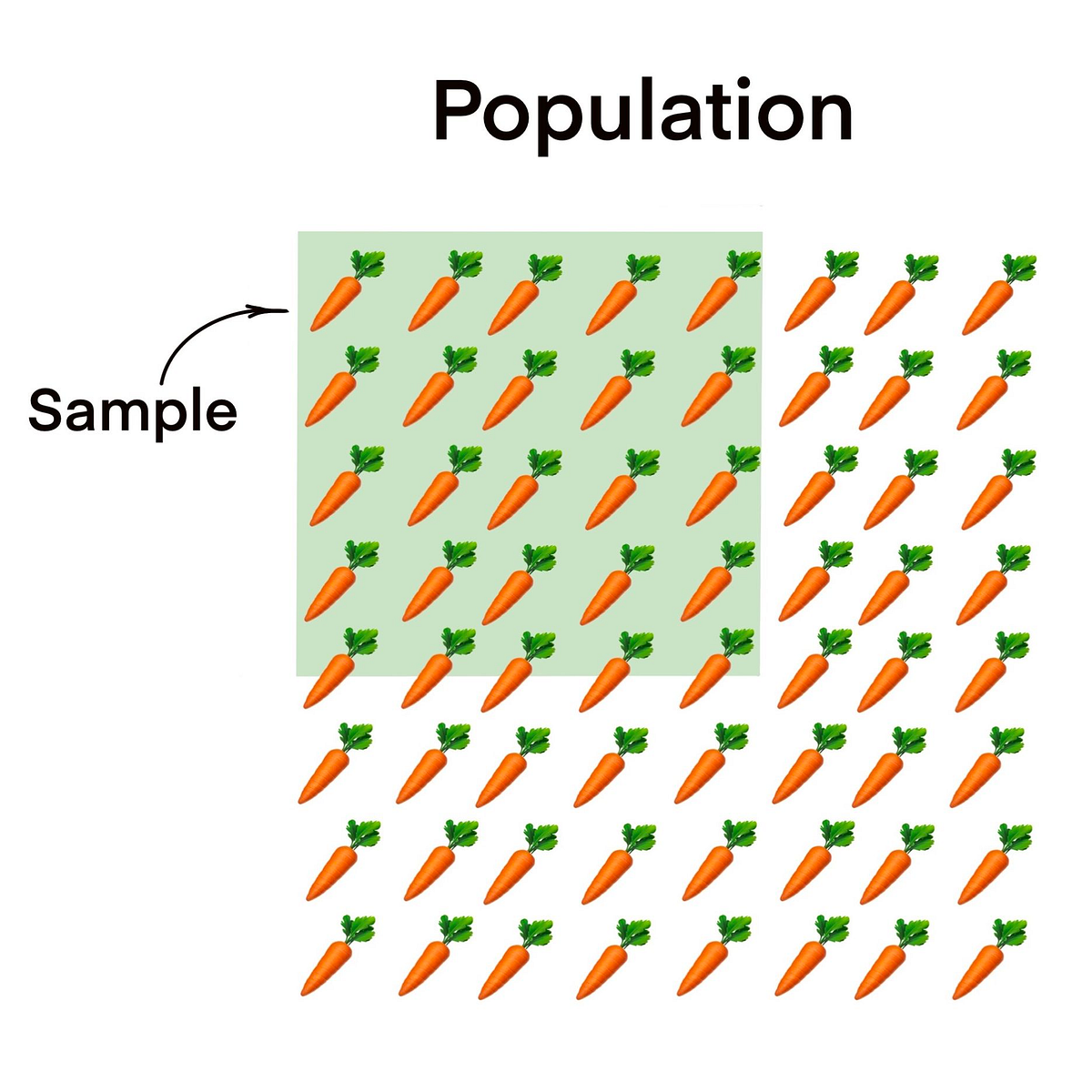 The Surprising Truth About Population vs Sample: Why Your Data Analysis ...