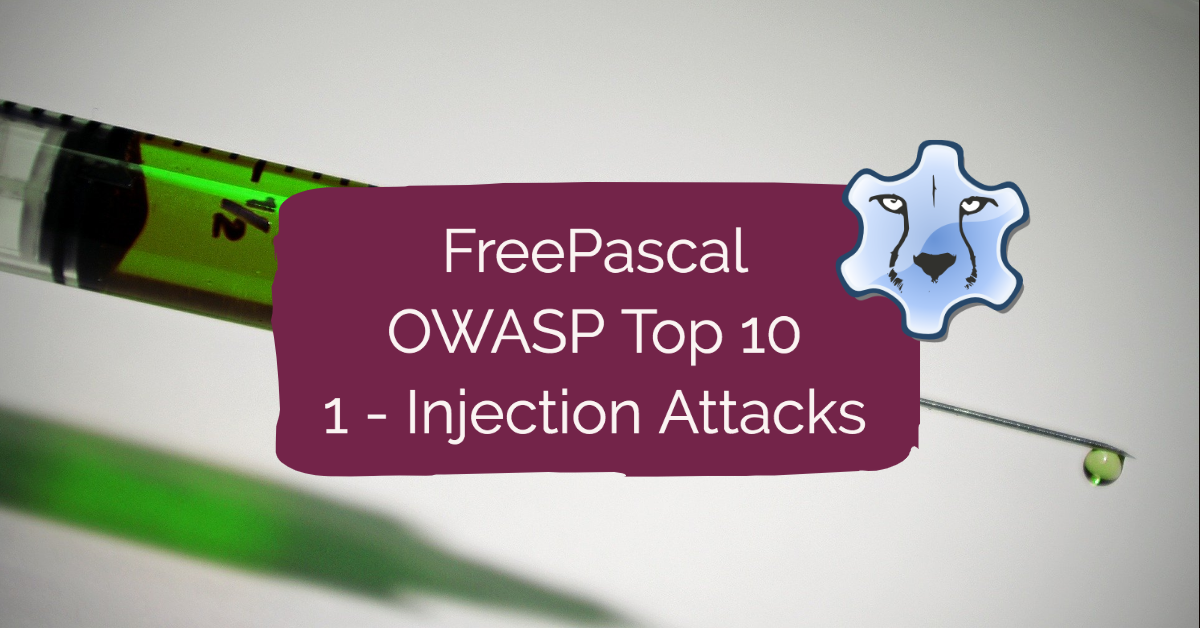 FreePascal & OWASP Top 10 — Injection | by Marcus Fernström | Medium