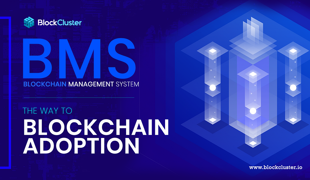 Blockchain Management Systems (BMS): The Way to Blockchain Adoption ...