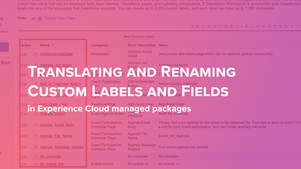 Translating and Renaming Custom Labels and Fields in Experience Cloud Managed Packages | by Anna ...