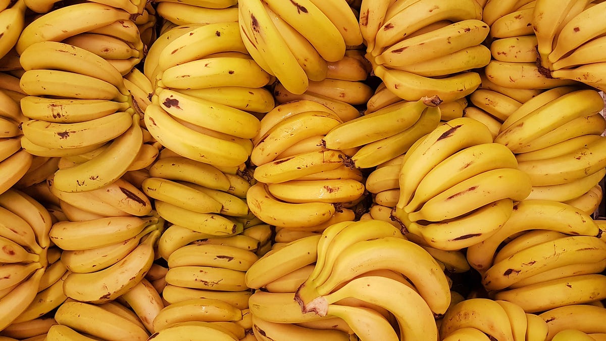 The Biography of Bananas. The history and the health benefits of… | by ...