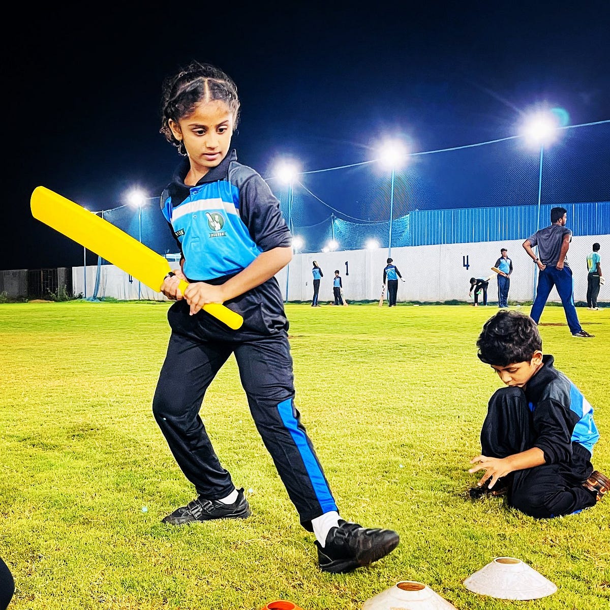 What is the fees of local cricket academy? | by Professional cricket ...