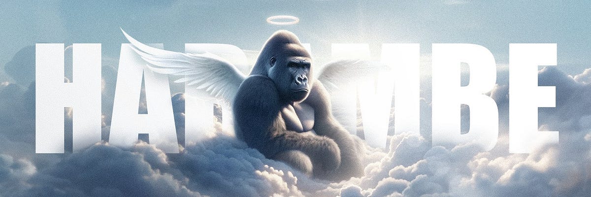 This is $Harambe 🦍. $Harambe is a core part of the 2024… | by Harambe ...