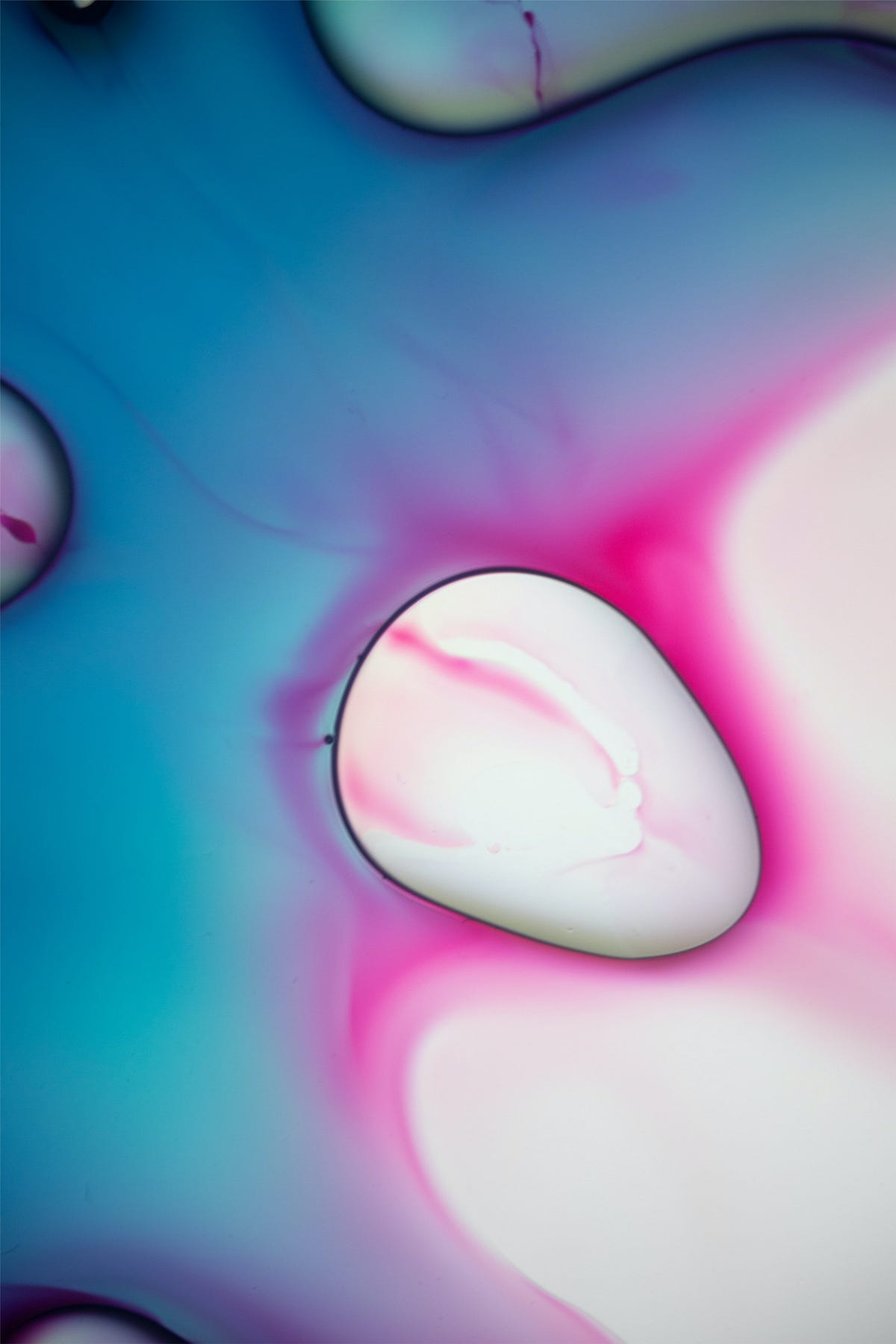 The Hard Part Is Over — It’s Ok To Hit Pause or Even Stop. | by Petal ...