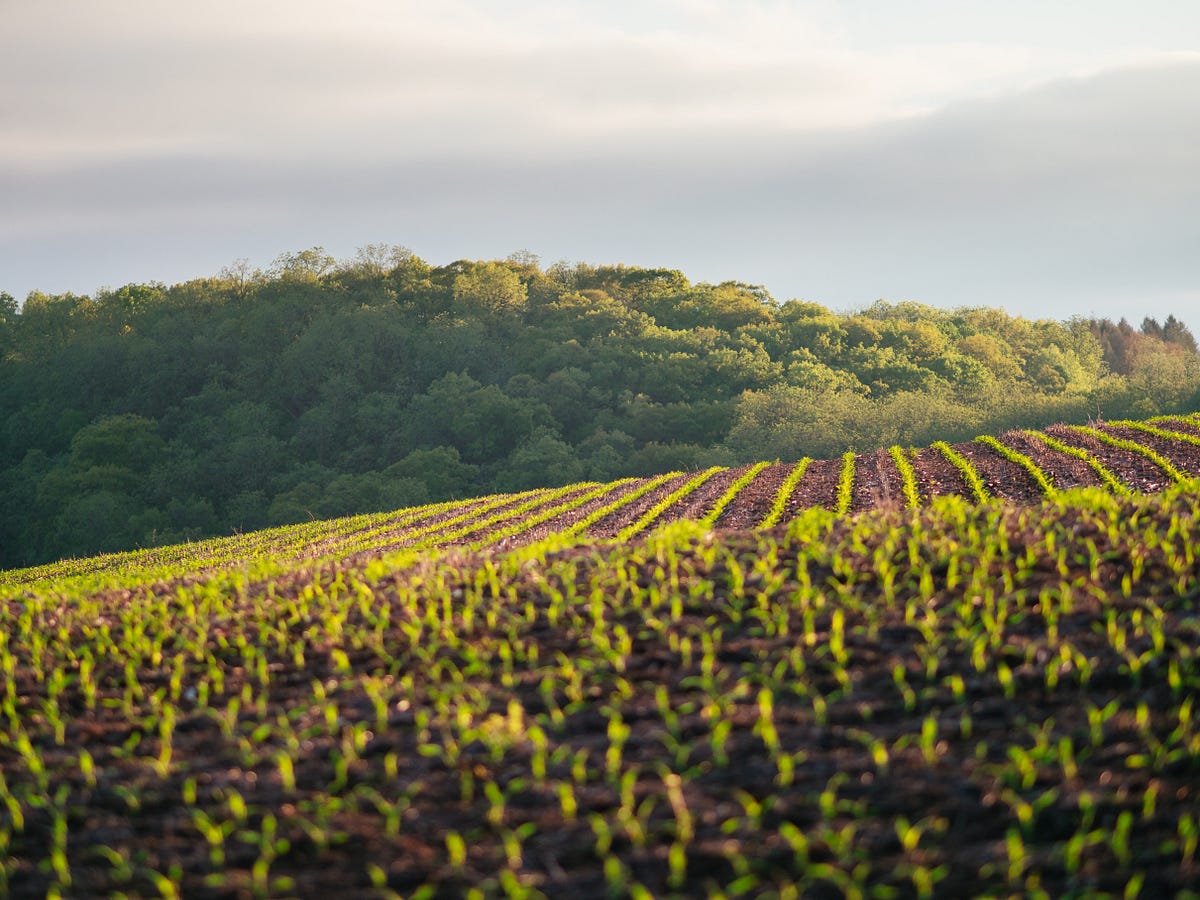 How is Land Prepared for Farming? Hakan Agro Explains the Details | by ...