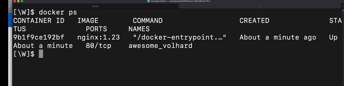 Understanding Docker Containers: A Guide to Portability, Efficiency ...