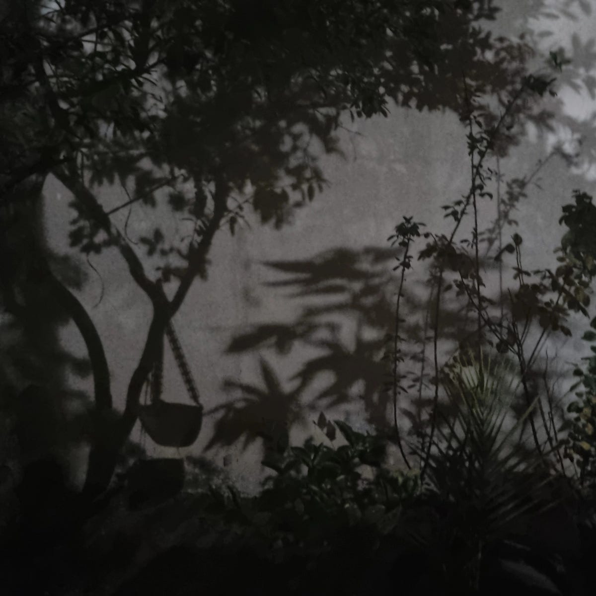 The Shadow A shadow of you, Out of its blurred vision, tried to snatch a melody of my heart Not ...