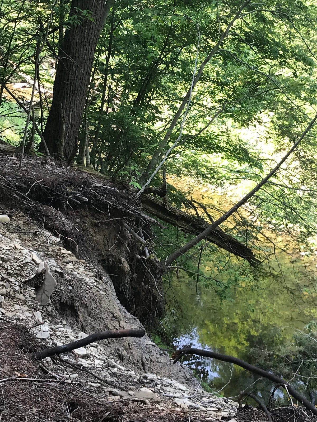 Water seeks its own level. The summer warmth expands our cabin… | by ...