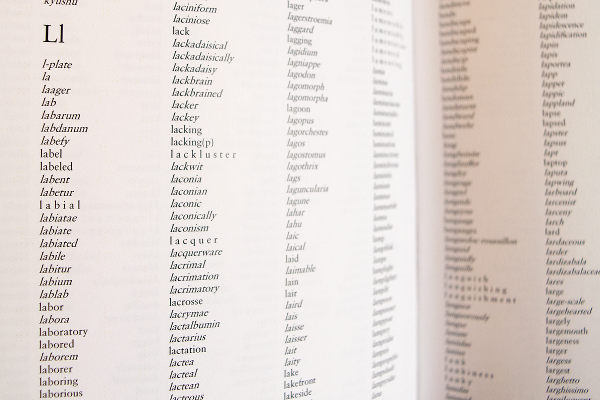 Lexicon. For our lexicon project we were asked… | by Andrew Kim | Medium