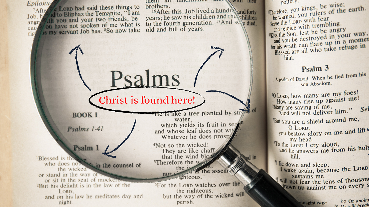 How to Thrive as a Christian. How to thrive as a Christian | by Pastor ...