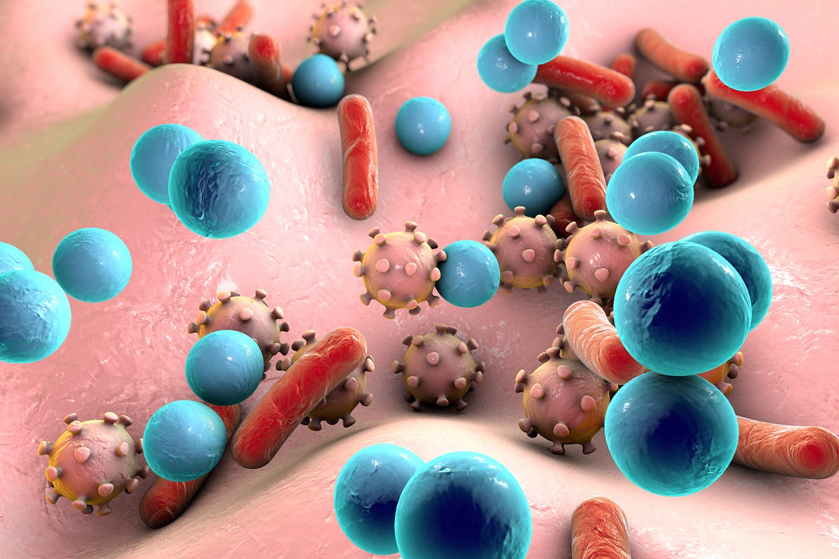 Get to know the bacteria living in your dog! | by Stay Labs | Medium