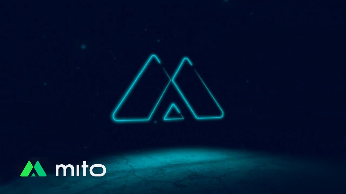 Explain how users and developers can participate in token launches on Mito | by Mr. Abdull ...
