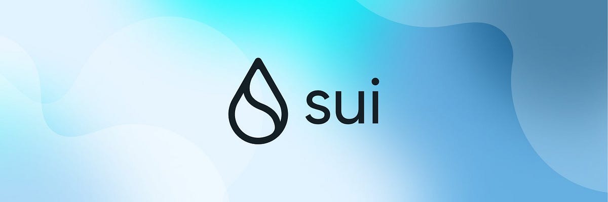 SUI move next💧. The world of blockchain technology is… | by DD Long ...