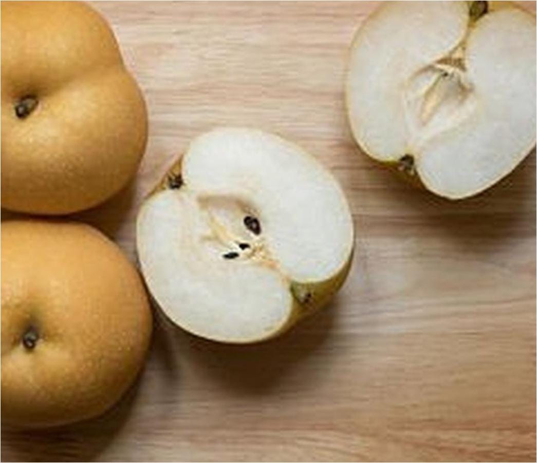 Bibit Pir Tanaman Buah Pear Asia Coklat Indramayu Terbaik | by Pusat ...