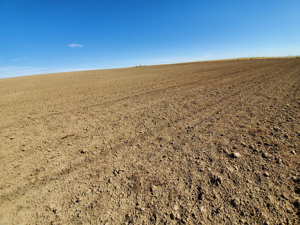The Real Dirt. The Real Dirt | by Sepp Seitz | Medium