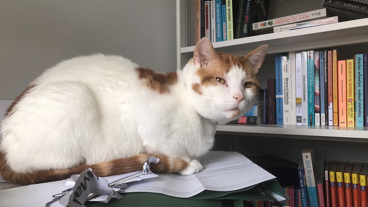weeknotes — w/c 22nd May 2023. Well, it’s been a while! Coming off the ...