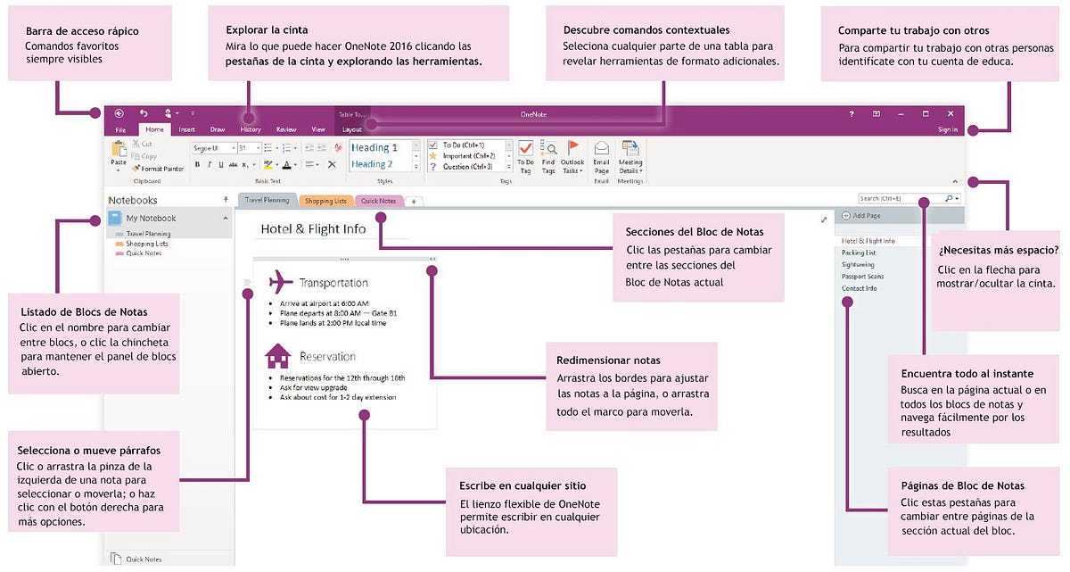 Cómo usar Microsoft OneNote para notas organizadas | CrearVirtual