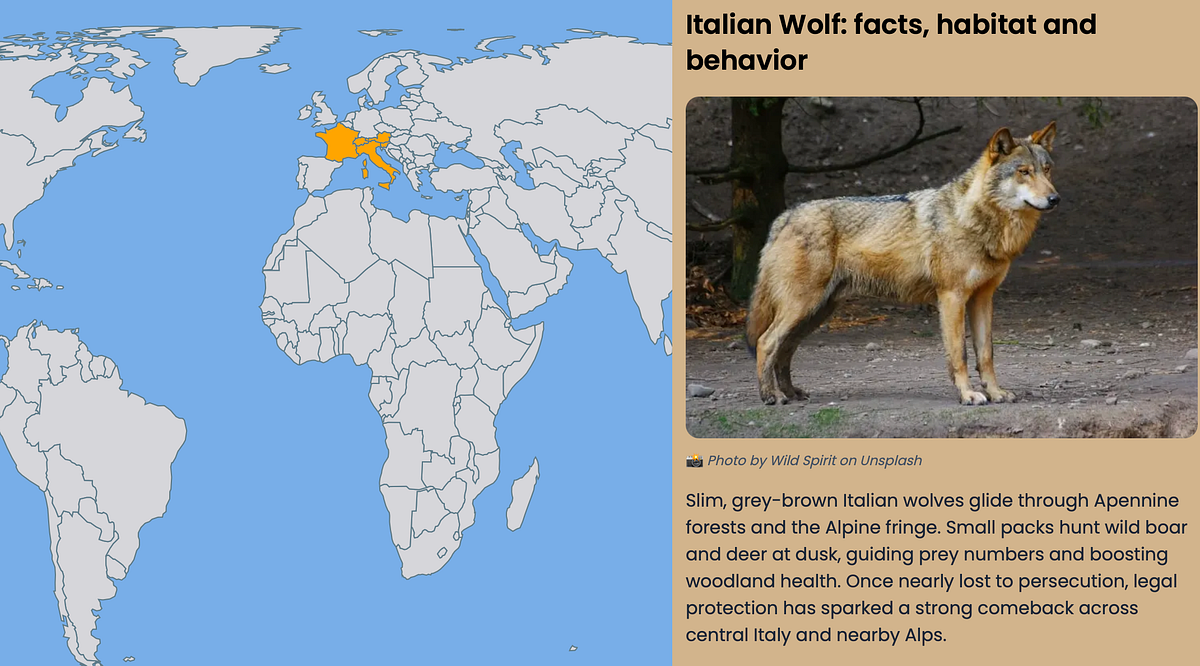 # 🦌 Why I Created The Animal Map | by Juan Pablo | Jul, 2025 | Medium