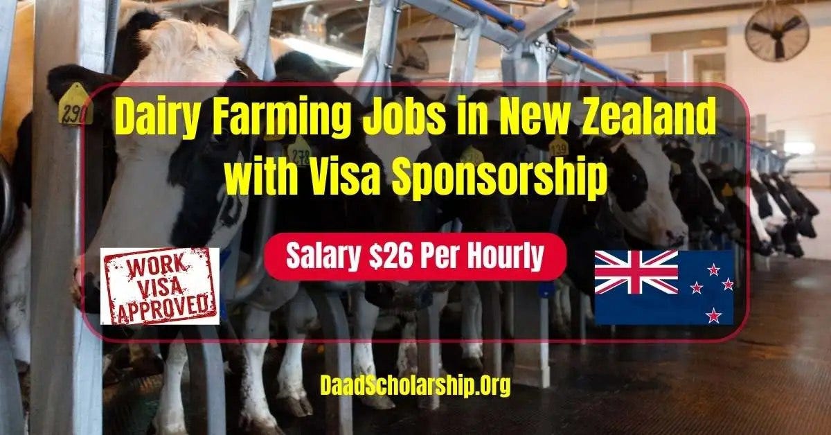 Dairy Farming Jobs in New Zealand with Visa Sponsorship 2024 Salary Pay $26 Per Hour | by Visa ...