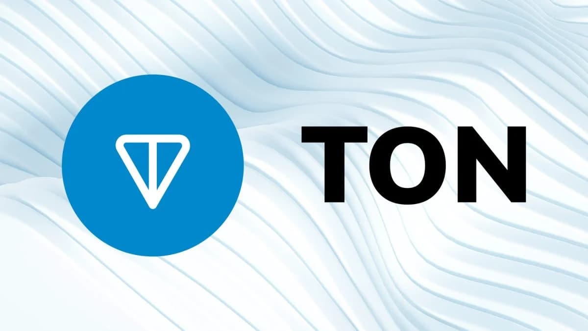 Diving into Toncoin $TON: Your Gateway to Understanding Crypto! | by ...