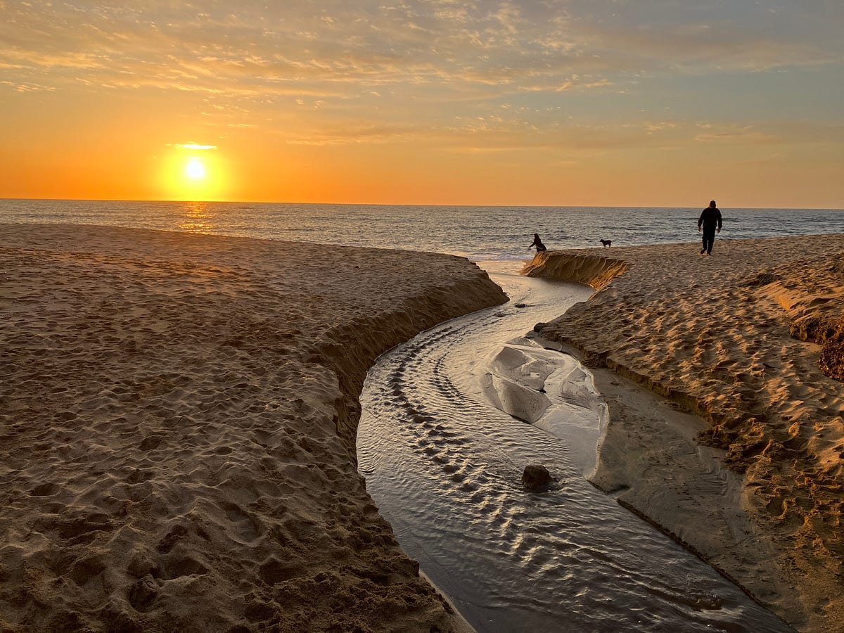 This is a Story - RIck Armstrong Shaul - Medium