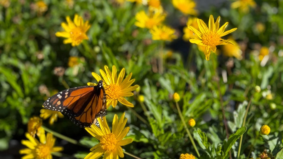 January: The Month Of Change. Many emotions have come and gone in… | by ...
