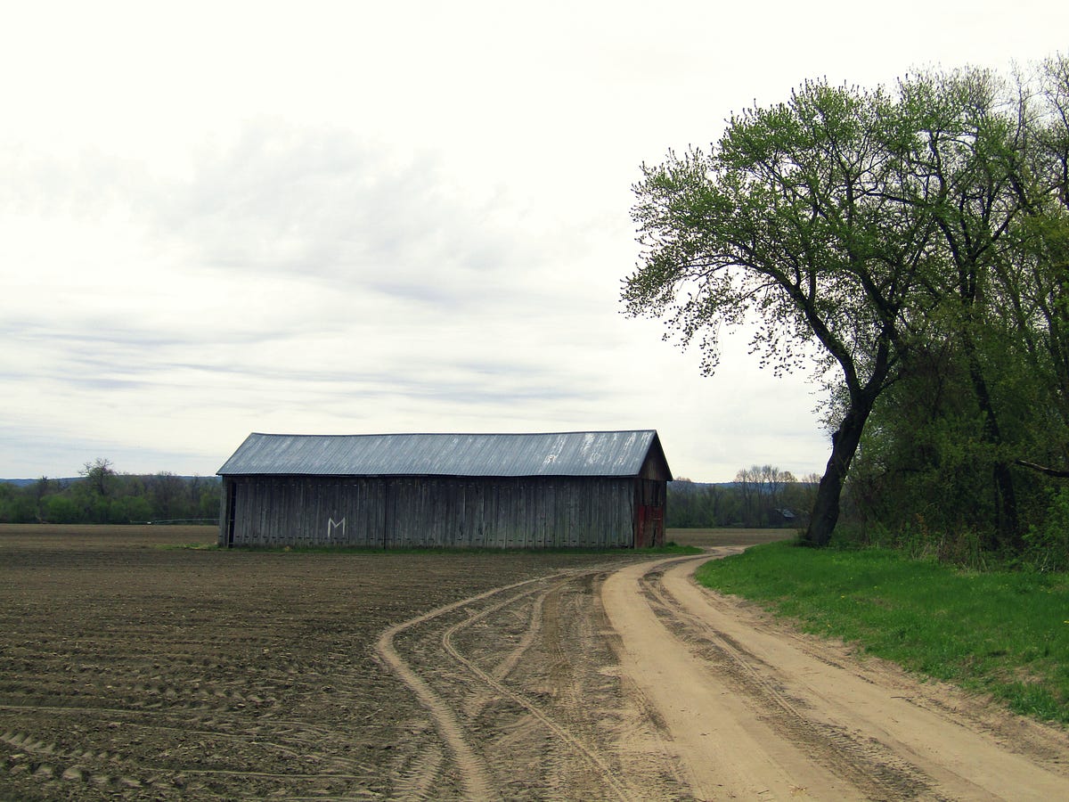 Bountiful Barns. Beautiful buildings in bucolic settings | by Allisonn ...