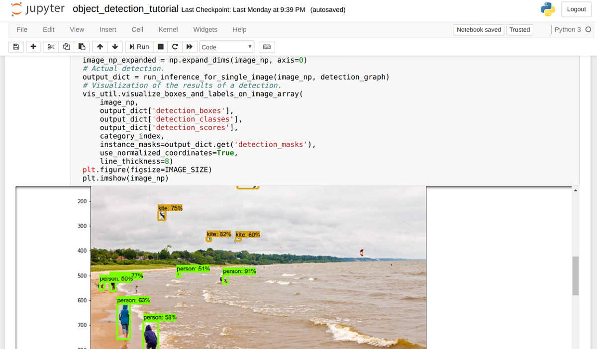 รันตัวอย่าง Python notebook ของ TensorFlow Object Detection API | by ...