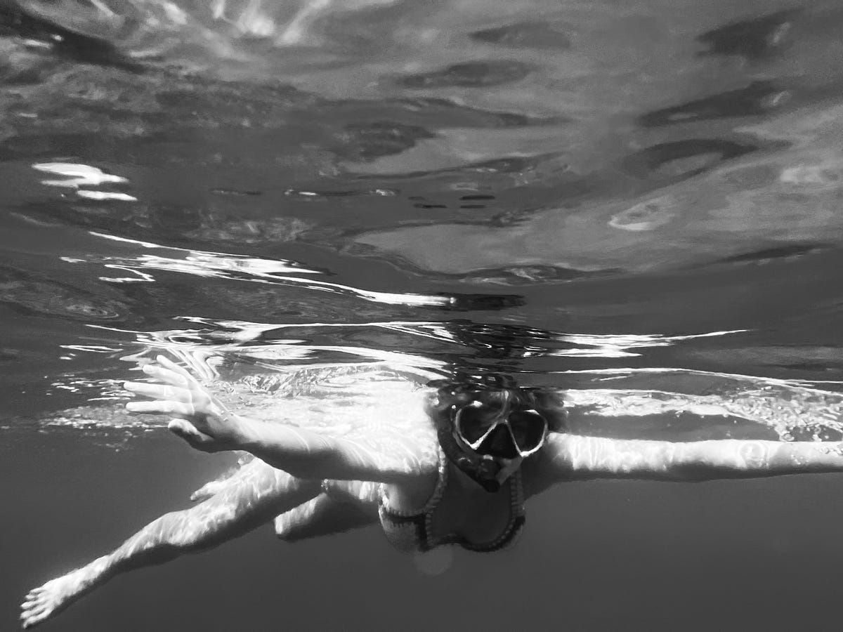 I Swam With A Turtle. A miracle from Saint Nicholas | by Simona Toma ...