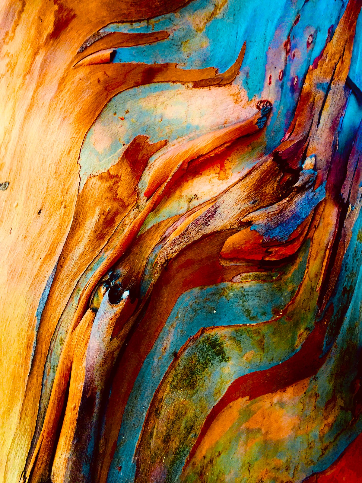 My Psychedelic Eye. Tripping in a Kaleidoscopic World of… | by Cappelli ...