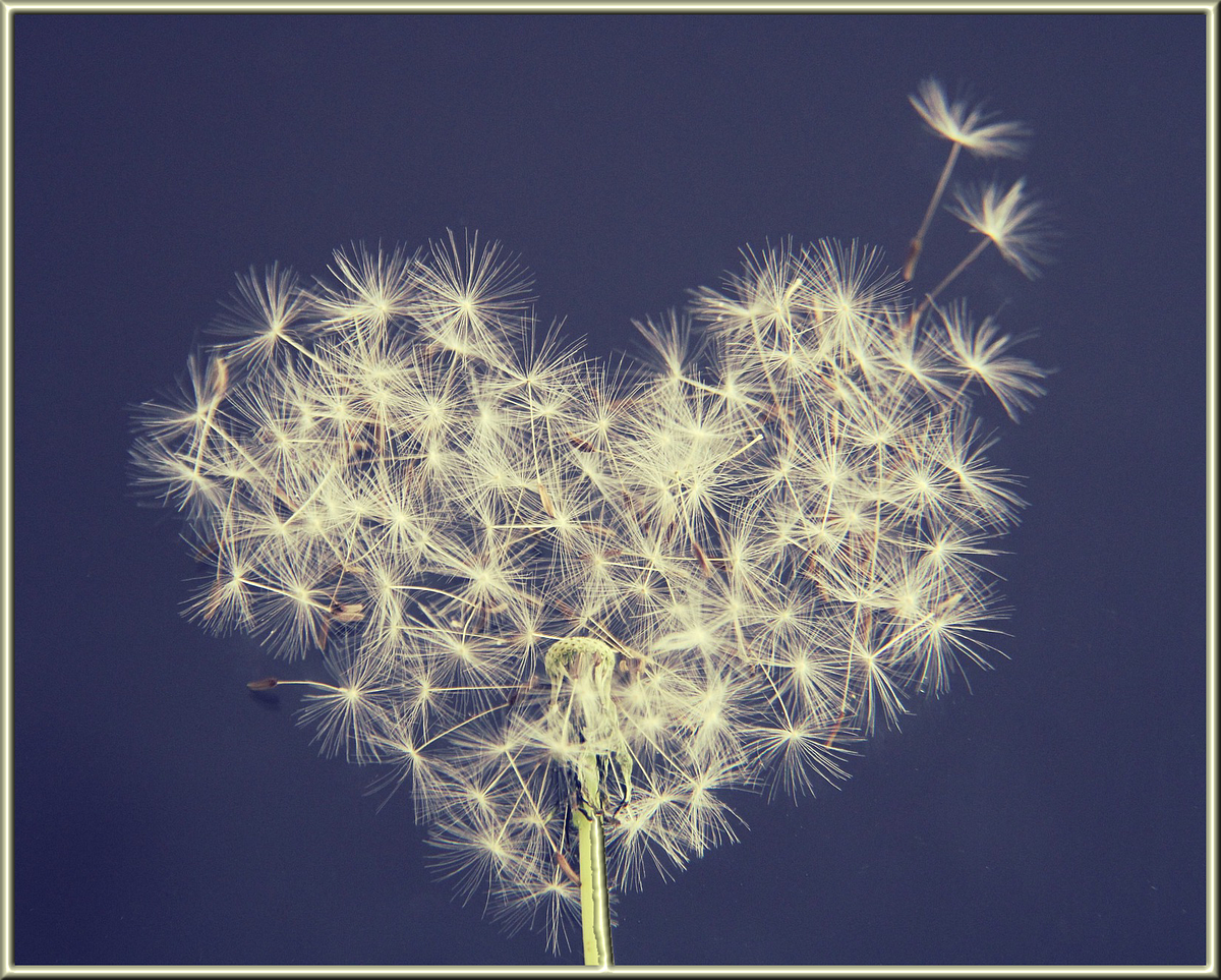 Quiet Love. A poem for my best friend and soulmate | by Katrina Haney ...