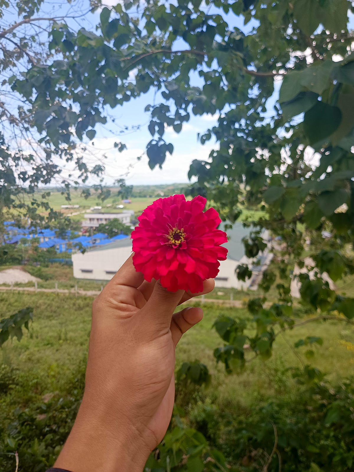 How is life treating you lately?. that is what I would ask — if I ever ...