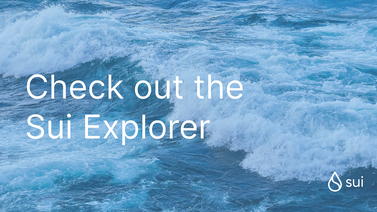 Meet the Sui Explorer. Sui’s emergence as a game-changing… | by Mysten ...
