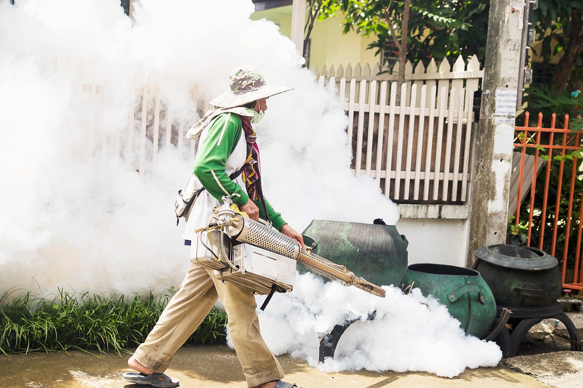 What is Mosquito Fogging and How Does It Work in Singapore? | by ...