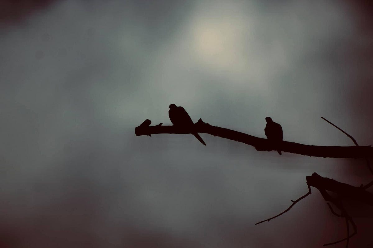 Friend or foe. If out of the darkness | by Alexander Semenyuk | Write ...