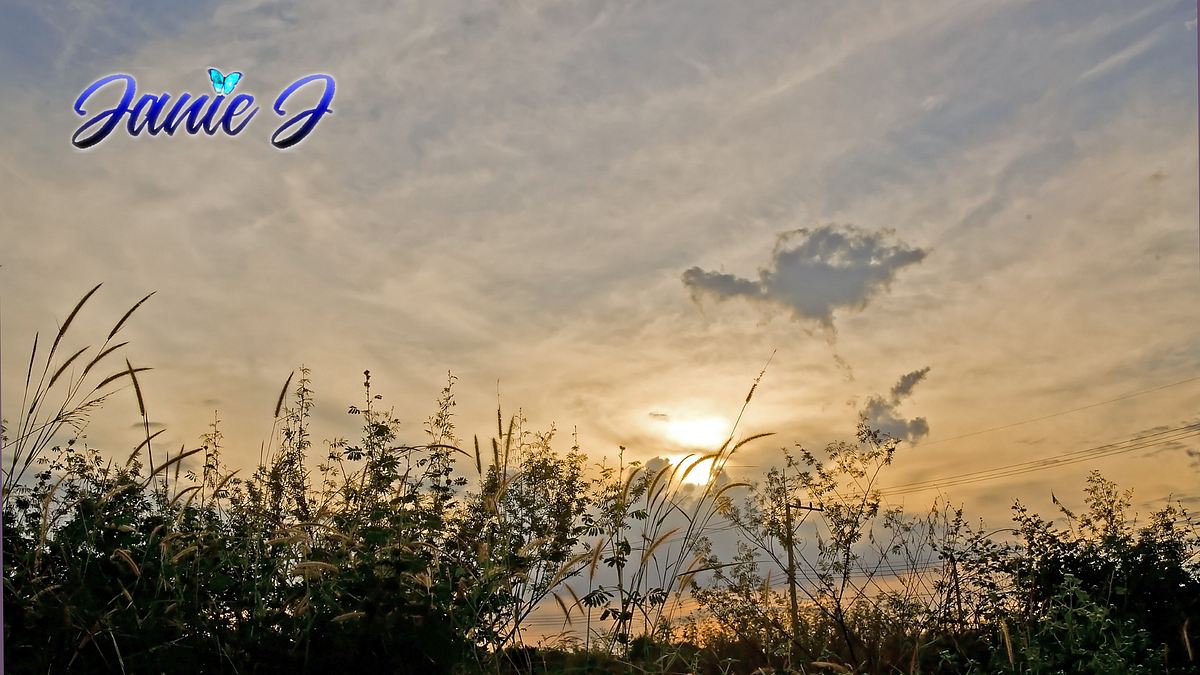 Nature — An Inspirational Poem. Commune with nature | by Janie Jurkovich | Medium