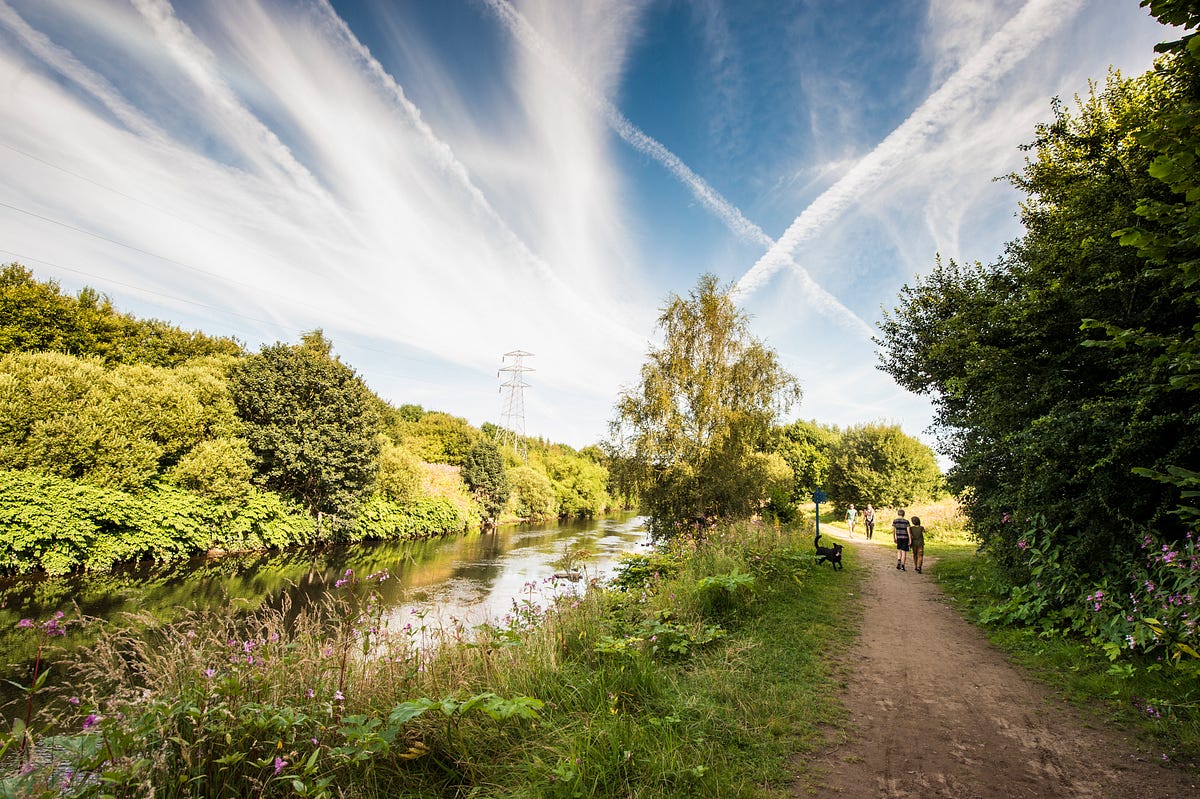 Why we’re creating a new Northern Forest | by Steve Connor | Medium