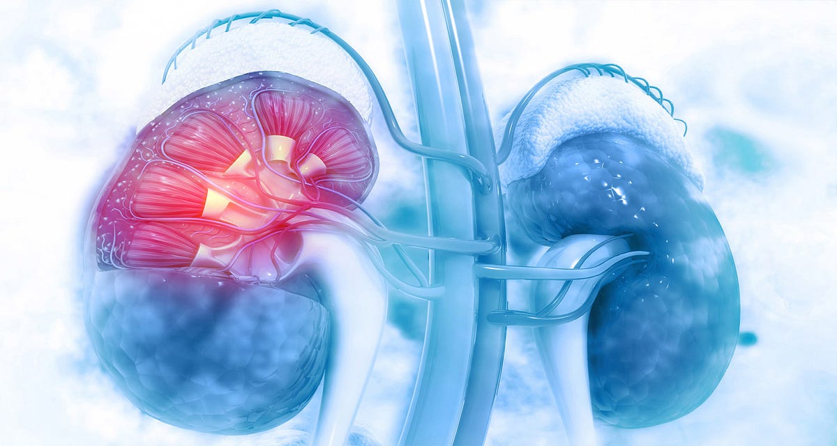 UROLOGICAL CANCER- TYPES. Urologic cancer refers to the cancer… | by ...