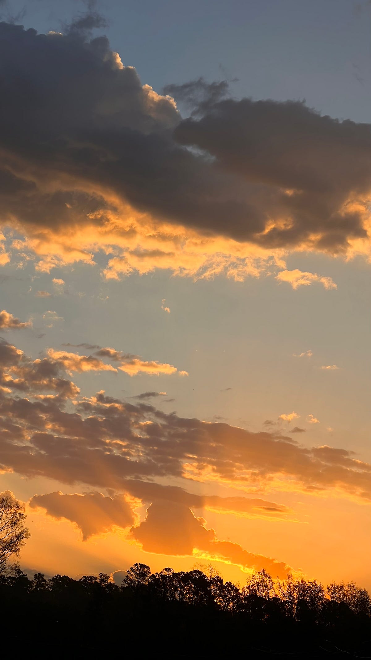 Why choose Nature for Meditation? | by Netta D. | Medium