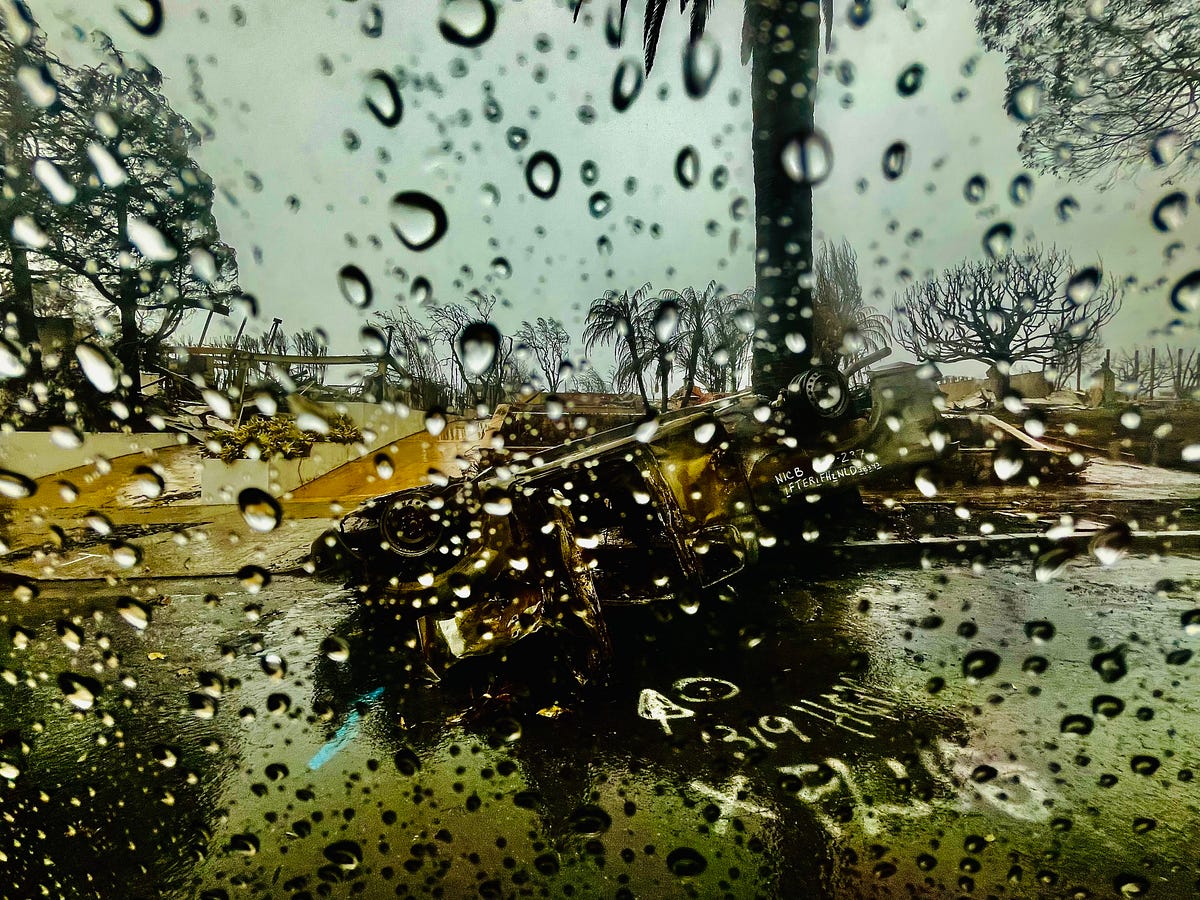 I Looked Anyway. A musing | by Cappelli, MFA, JD, PhD | The Lark | Jan, 2025 | Medium