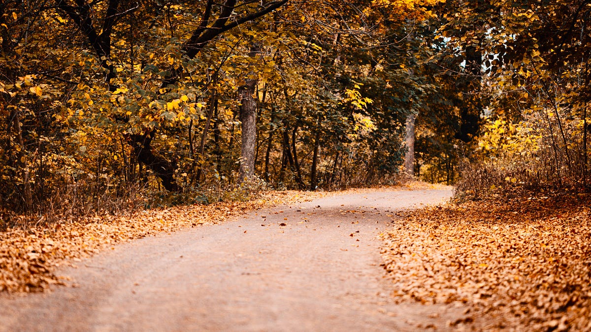 The Road Turns - Evolve - Medium