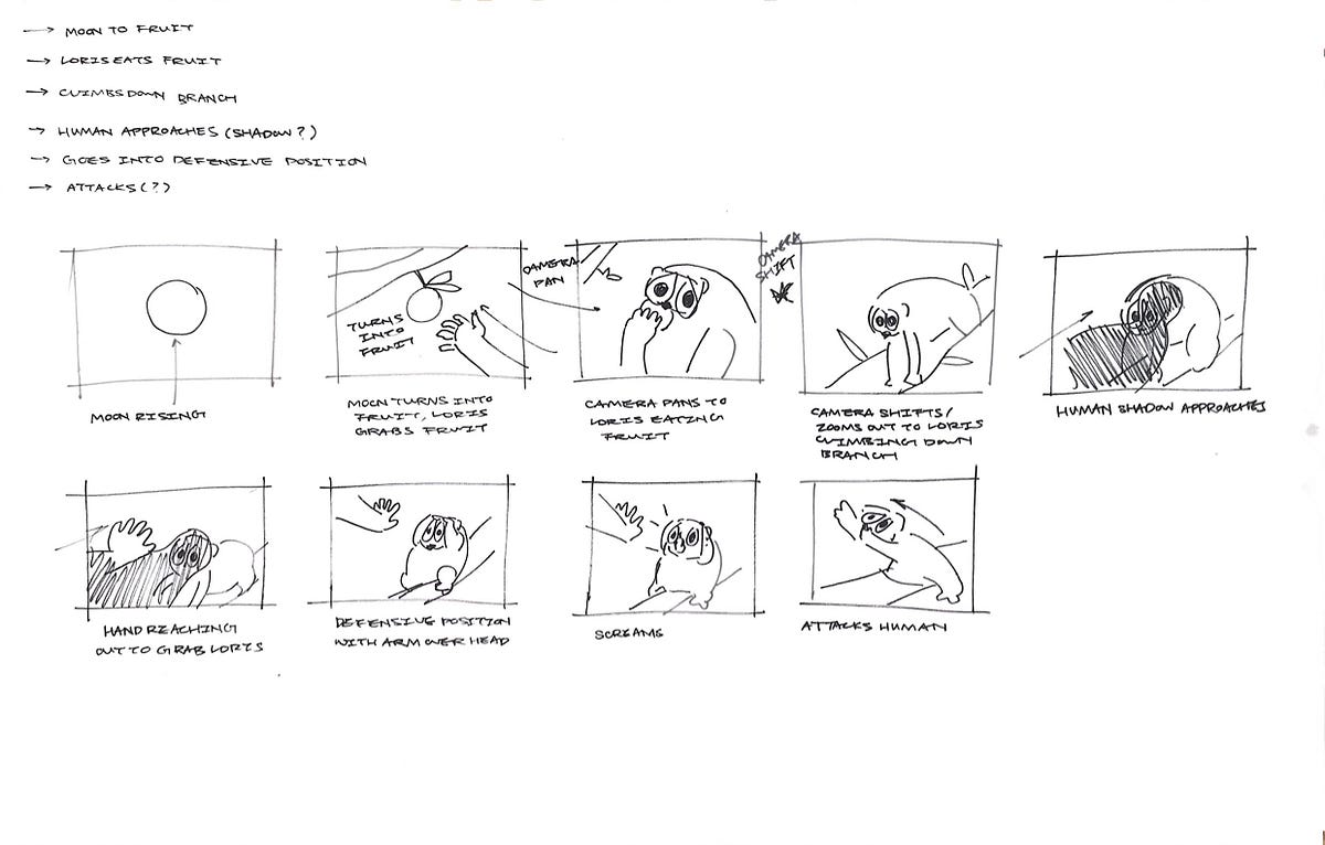Animal Project Part 3. 3/29/21: Storyboarding | by Catherine Liu | Medium