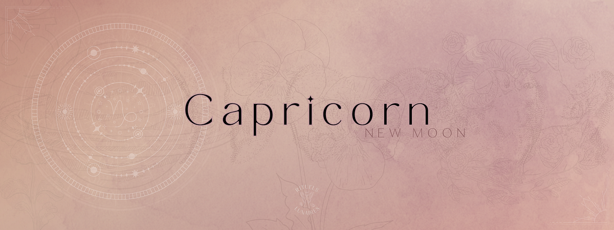 CAPRICORN NEW MOON. The New Moon lunar phase is a time of… | by rituels ...