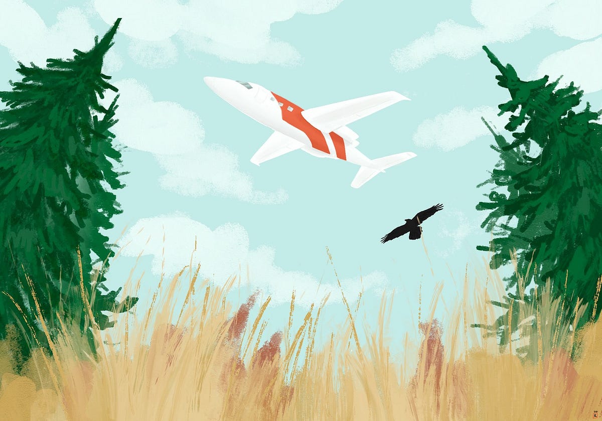 Piloting with Raven Beardy. As part of Connected North’s Future… | by ...